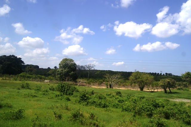 viajando: De Tuxpan a Cerro Azul Veracruz.
