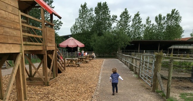 Walnut Tree Farm Park - A Toddler Explores | Teddy Bears And Cardigans