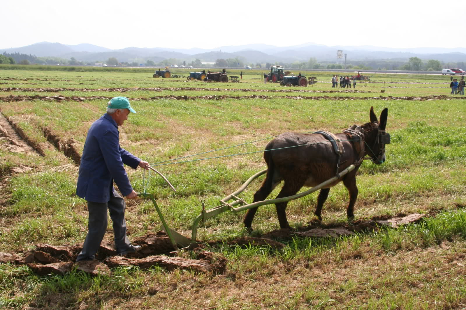 Verbos/Verbs ABC - Page 15 - Spanish Help Community Forum