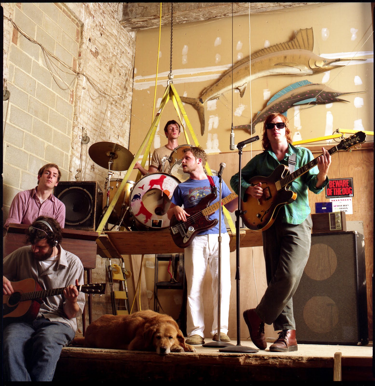 Dr. Dog | Dog rocks, Dogs, Indie music