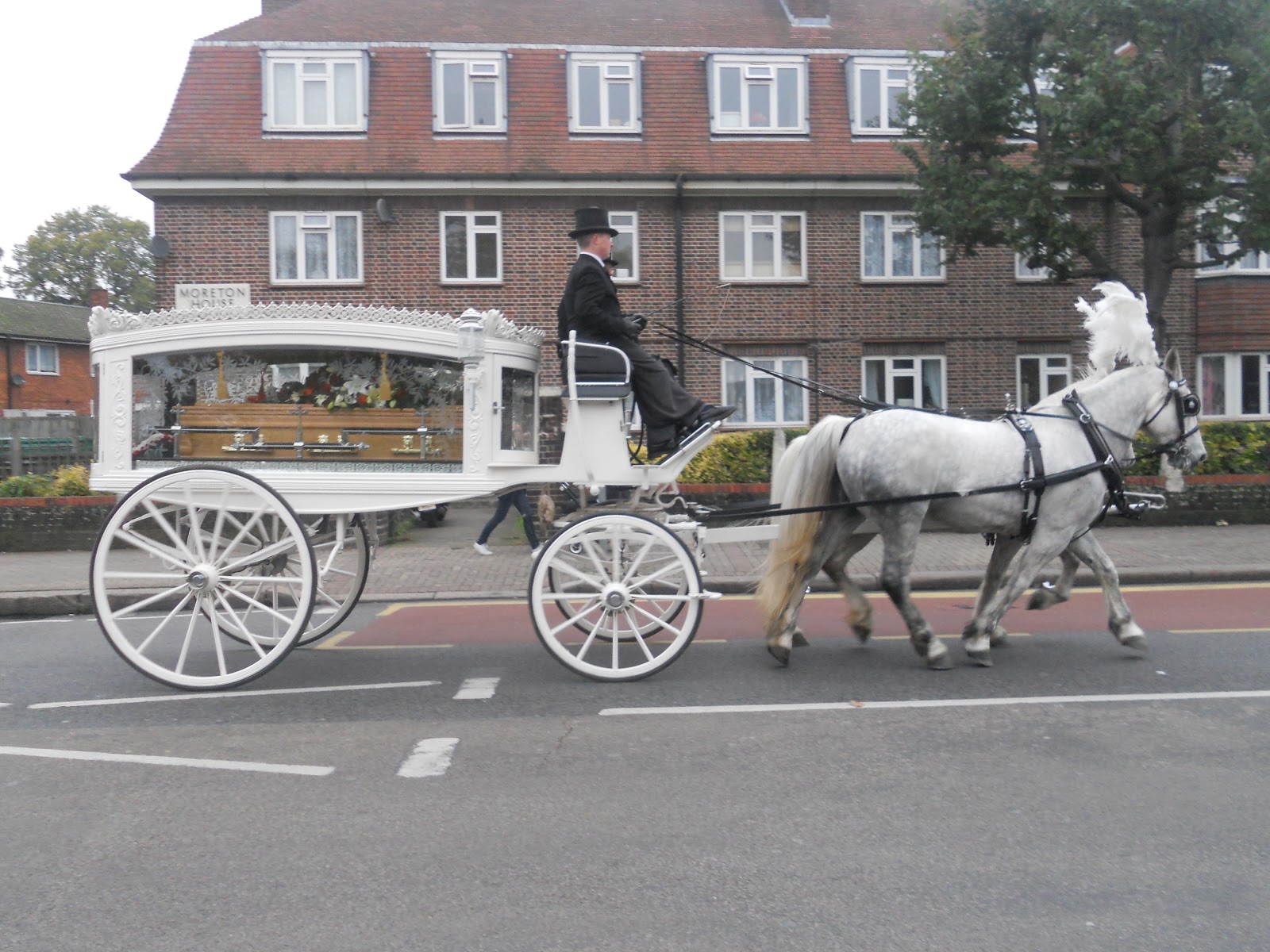 Photography by Me: Fancy Funeral Procession