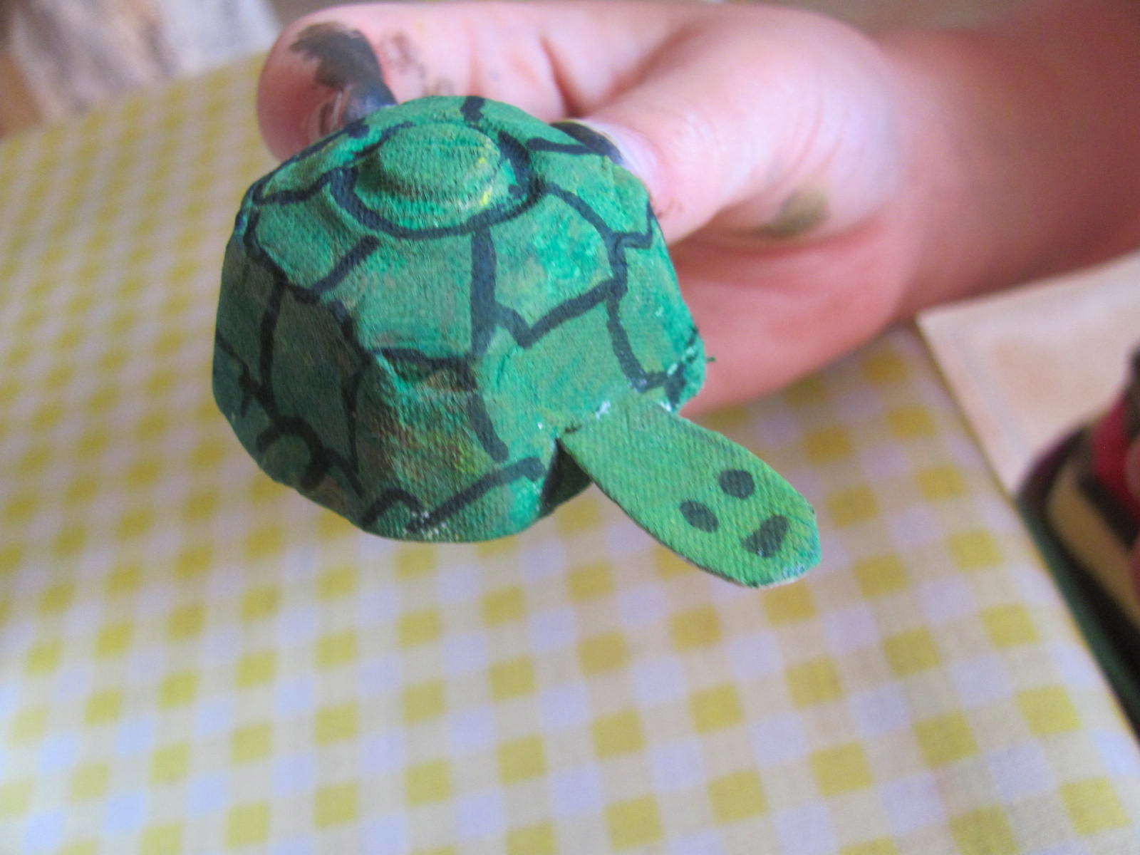 Jumble Tree: Turtles and Tortoises