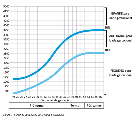 Portfólio de Medicina da Giovanna Armani: NCS III UND1 SP1 (Nascimento ...