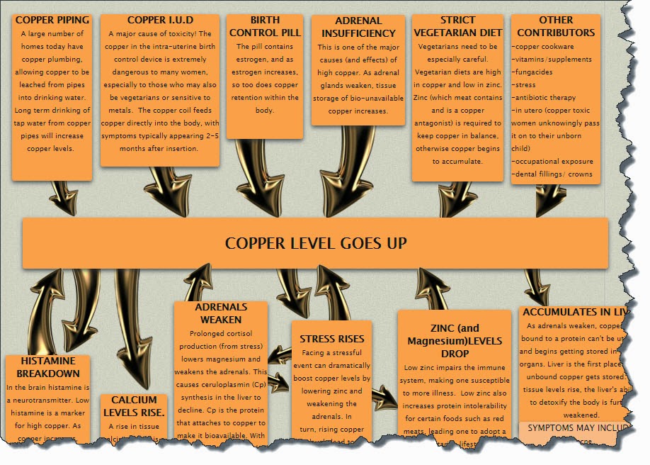 GaryMoller.com - Health, Fitness - Naturally!: Are you copper toxic?