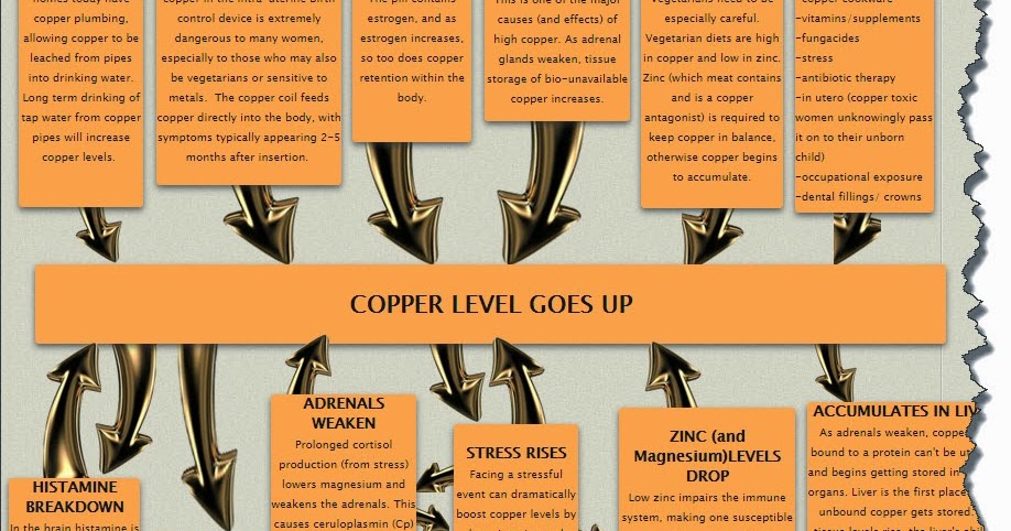 GaryMoller.com - Health, Fitness - Naturally!: Are you copper toxic?