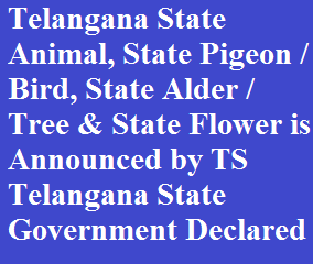 JOBZRES | JOBS | GOVERNMENT JOBS | RESULTS | HALL TICKETS | NOTIFICATIONS