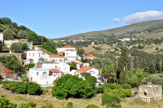 Λειβάδια Ανδρου: Ανδρος Λειβάδια, εικόνα υπέροχη!