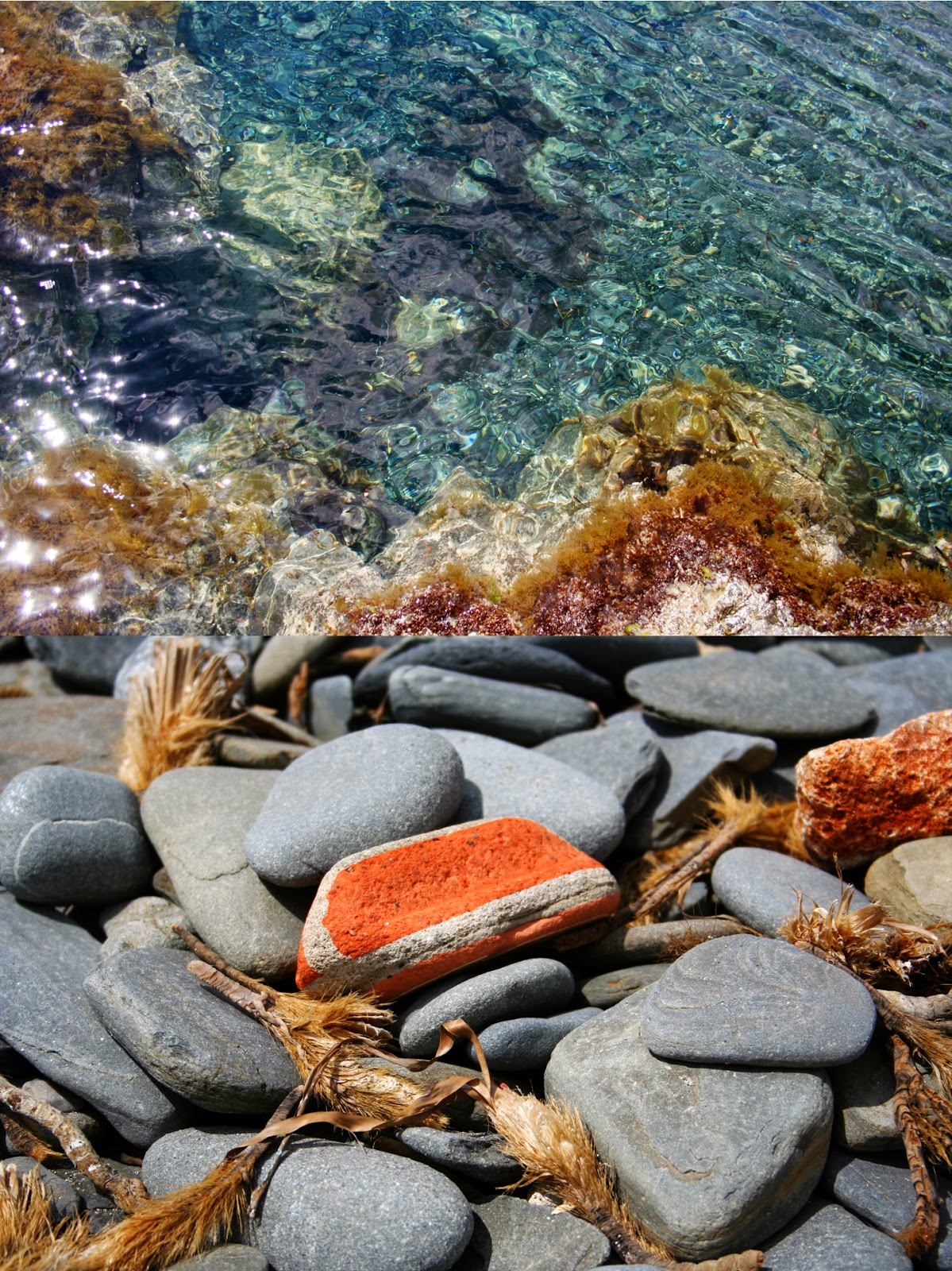 Así, en Menorca encontramos dos zonas muy perceptibles: el Norte, donde ...