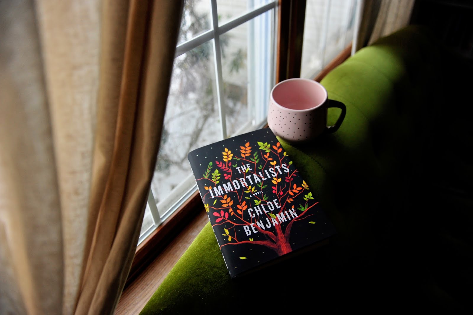 The Immortalists by Chloe Benjamin