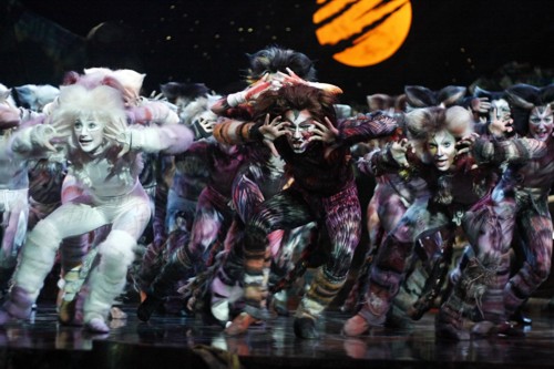 Sometimes Melbourne: Review: Cats