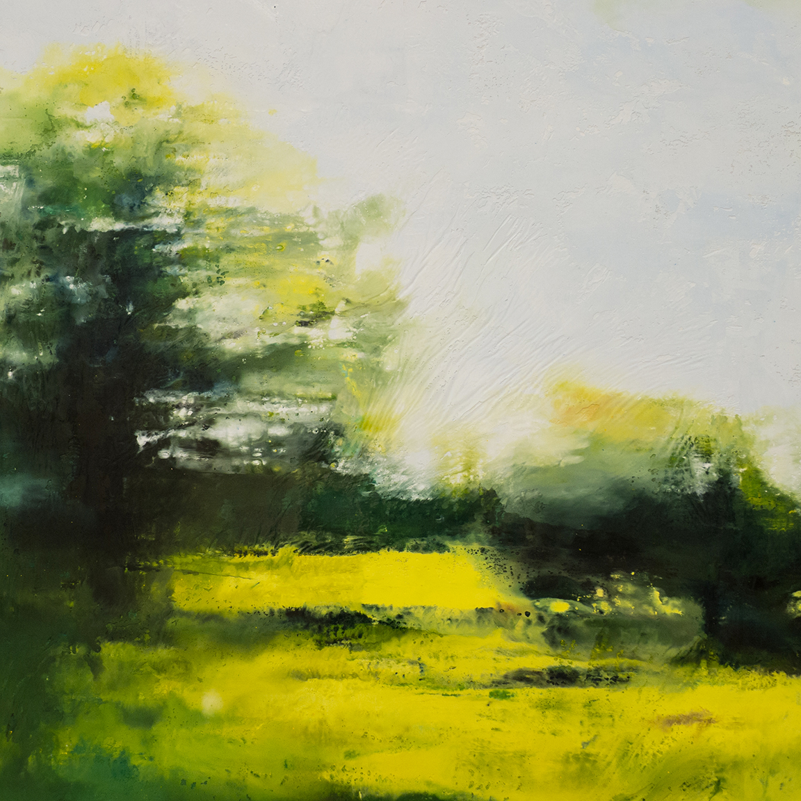 Flora Urbana: Philippe Cognée