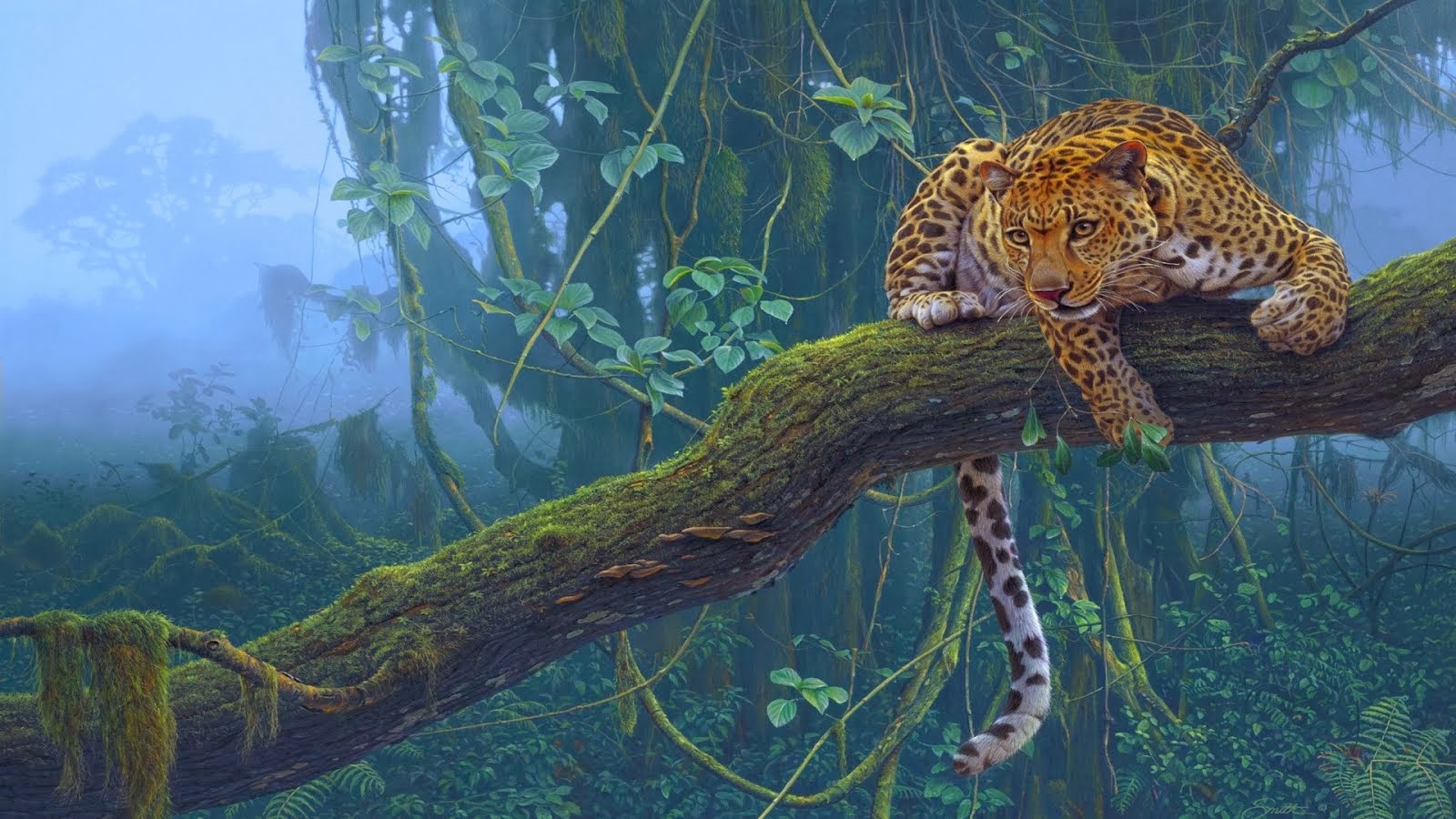 Een reis door de jungle: Nog 7 dagen en dan vertrek ik ....naar de jungle