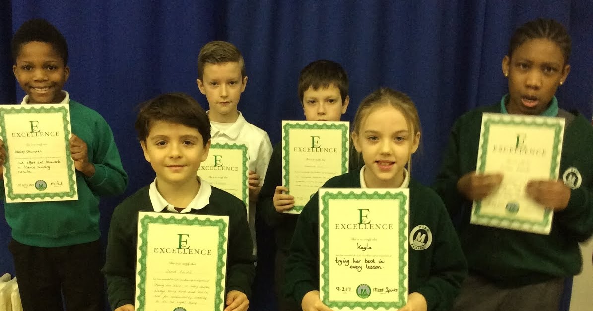 Mead Primary: E for Excellence