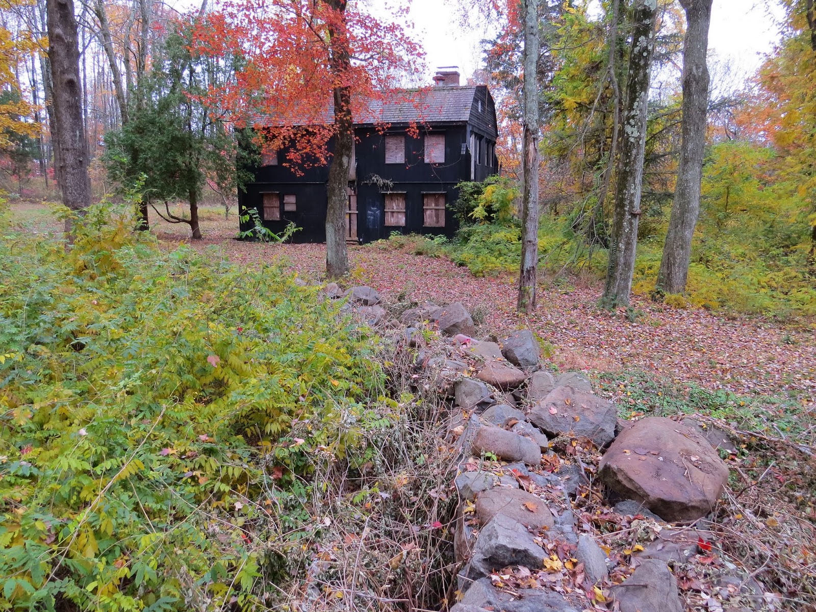 Princeton Nature Notes: Nature Walk at Herrontown Woods This Saturday