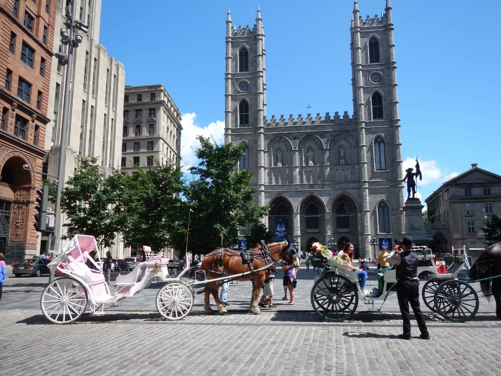 රසුදැල් Rasudal: පැරණි මොන්ට්‍රියල් නුවර Old Montreal: කැනඩාවේ සුවිශේෂ ...