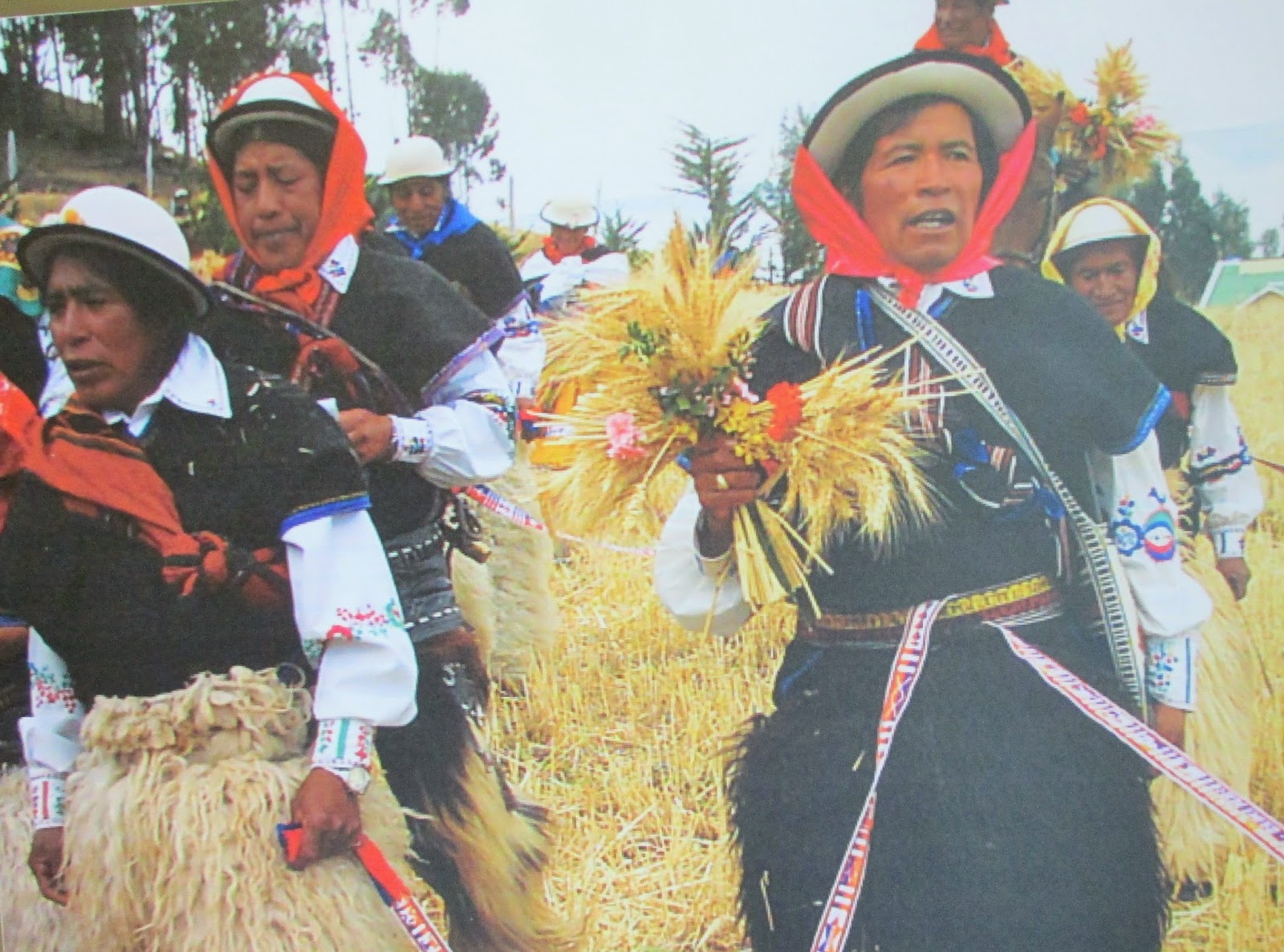 Pachamama Spectrum of Treasures: Indigenous Diversity in Ecuador