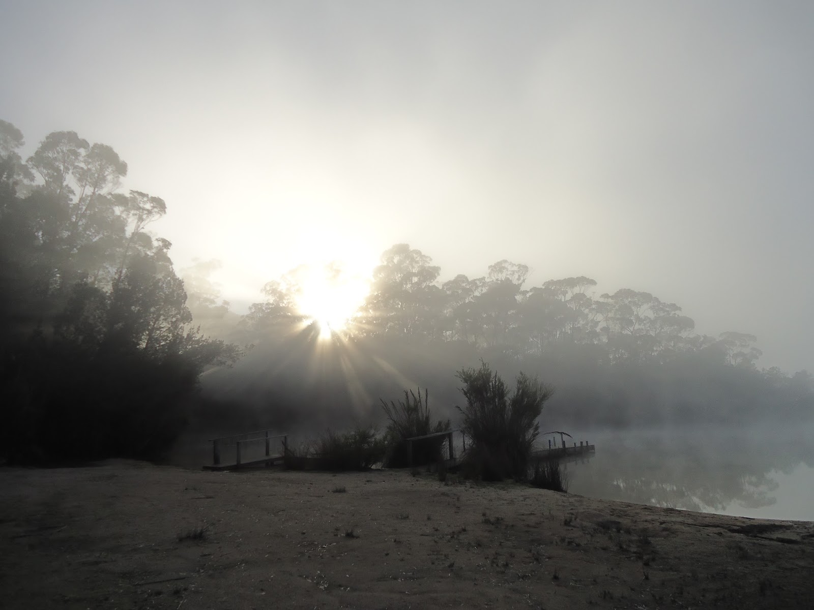 the Torrents Times: Fossicking at Weld River, Tasmania