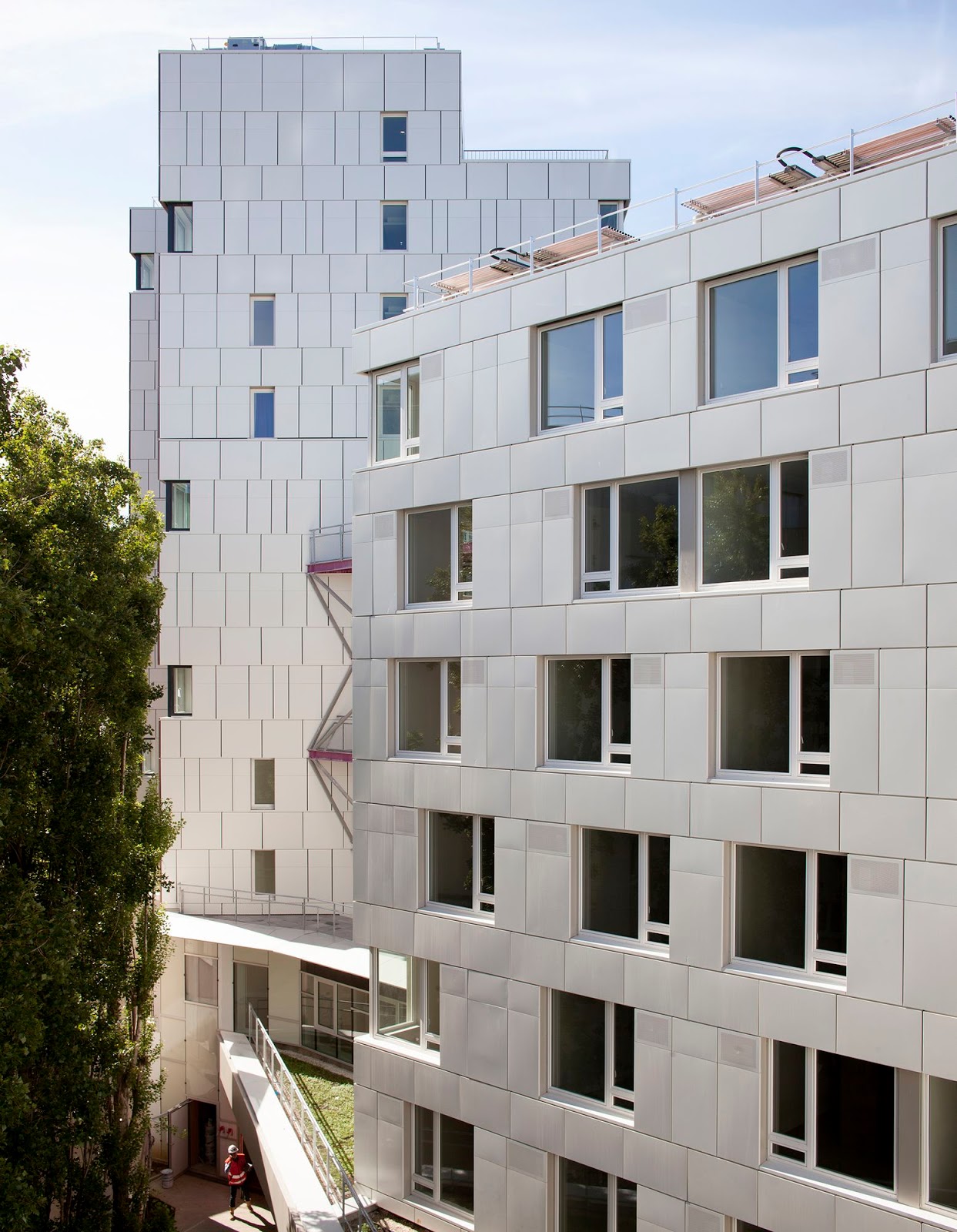 Eva Samuel | a f a s i a