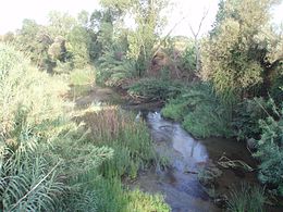 IL mito di Apollo e Dafne, L'amore impossibile