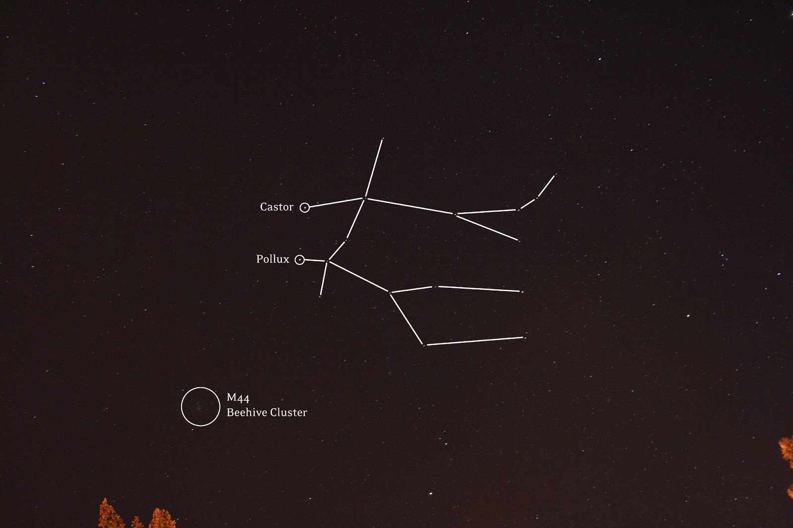 Found an accidental Beehive Cluster (M44) photo [Stellar Neophyte ...