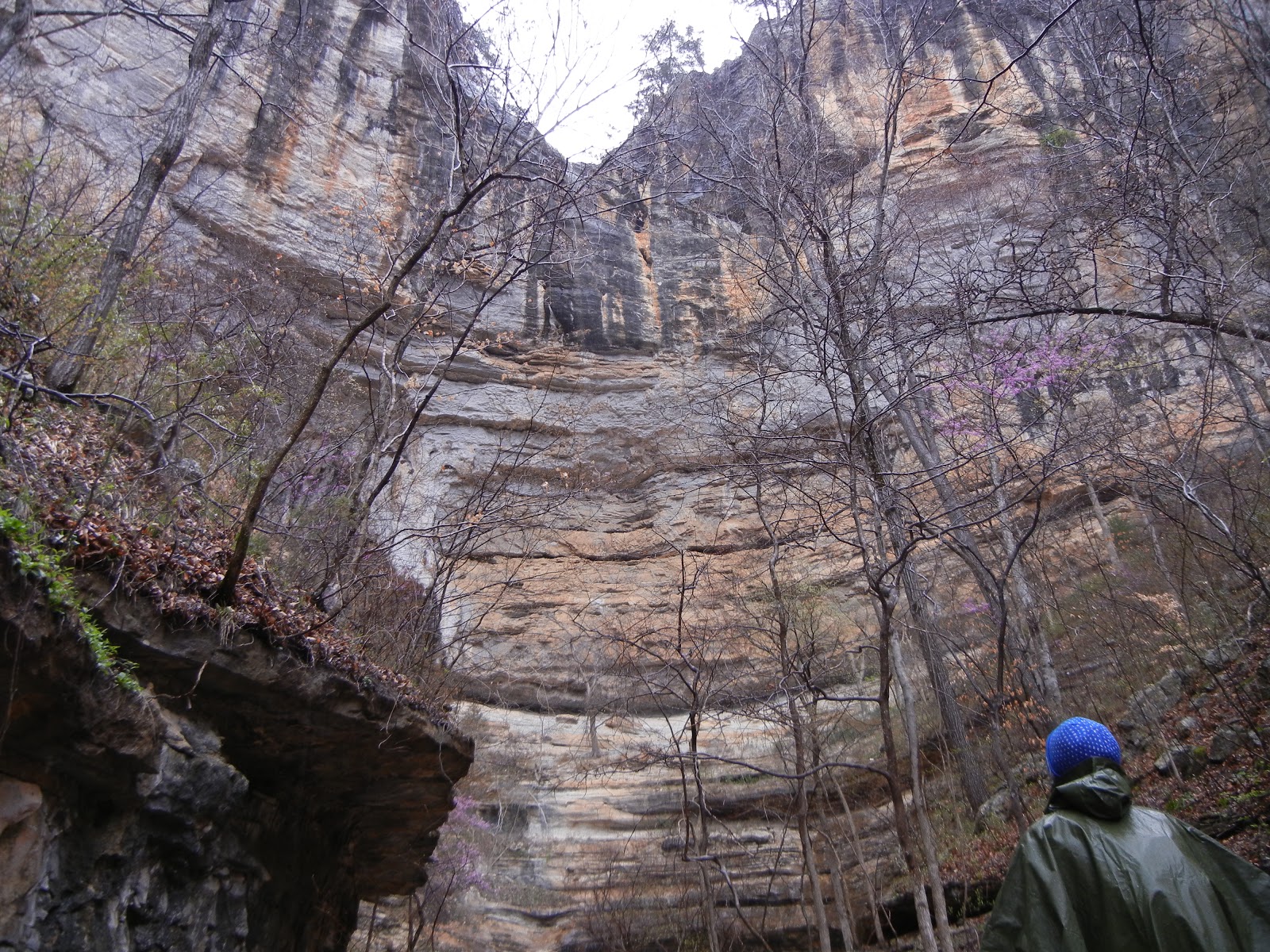 Rolla Missouri Scene