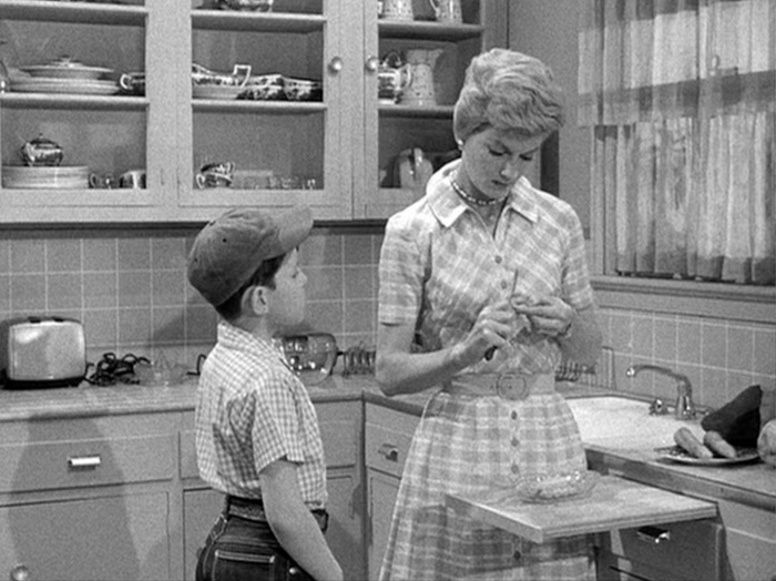 Retro Gran Spotlight On June Cleaver