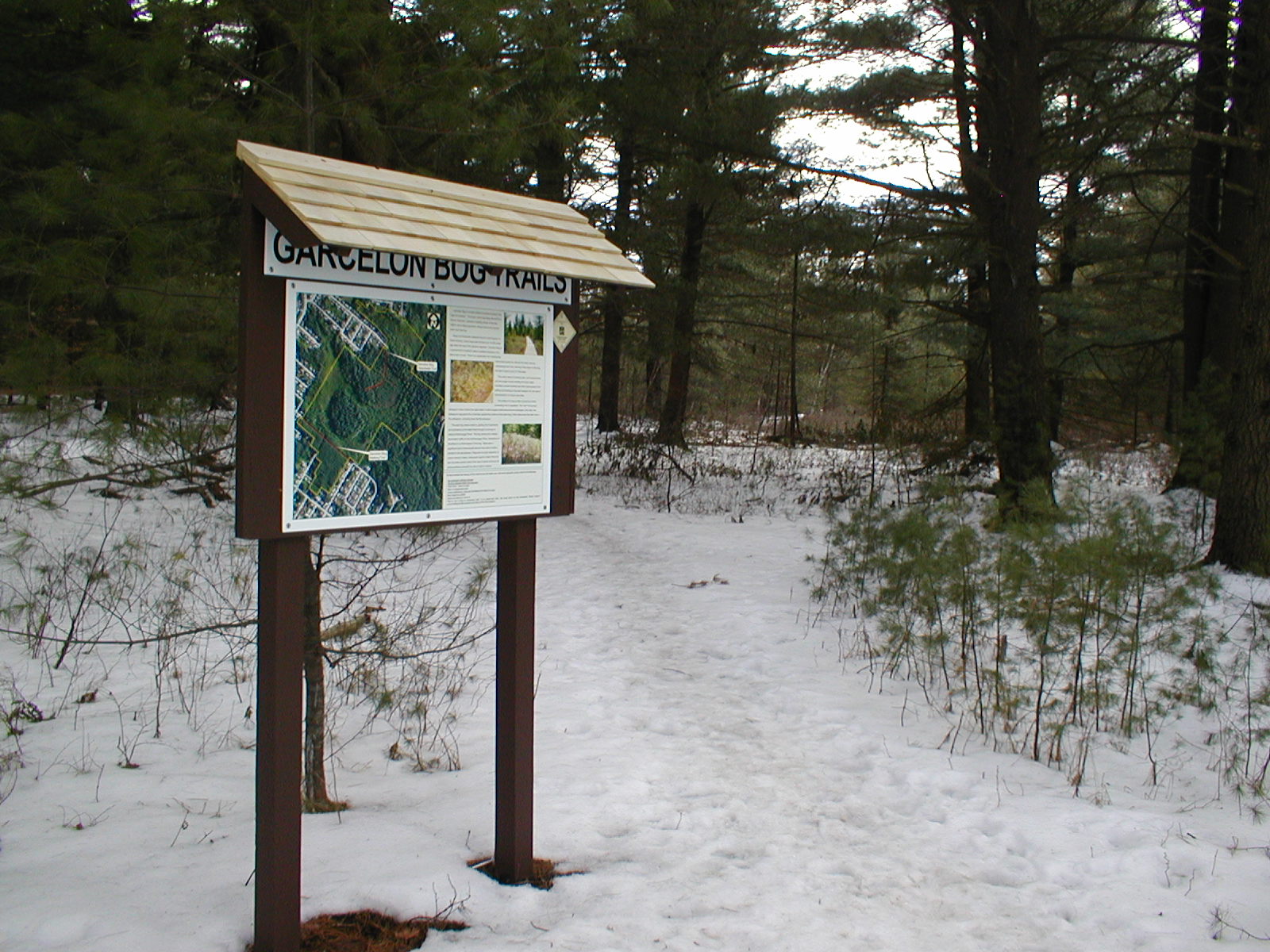 Onestep Outdoors!: Garcelon Bog Conservation Area