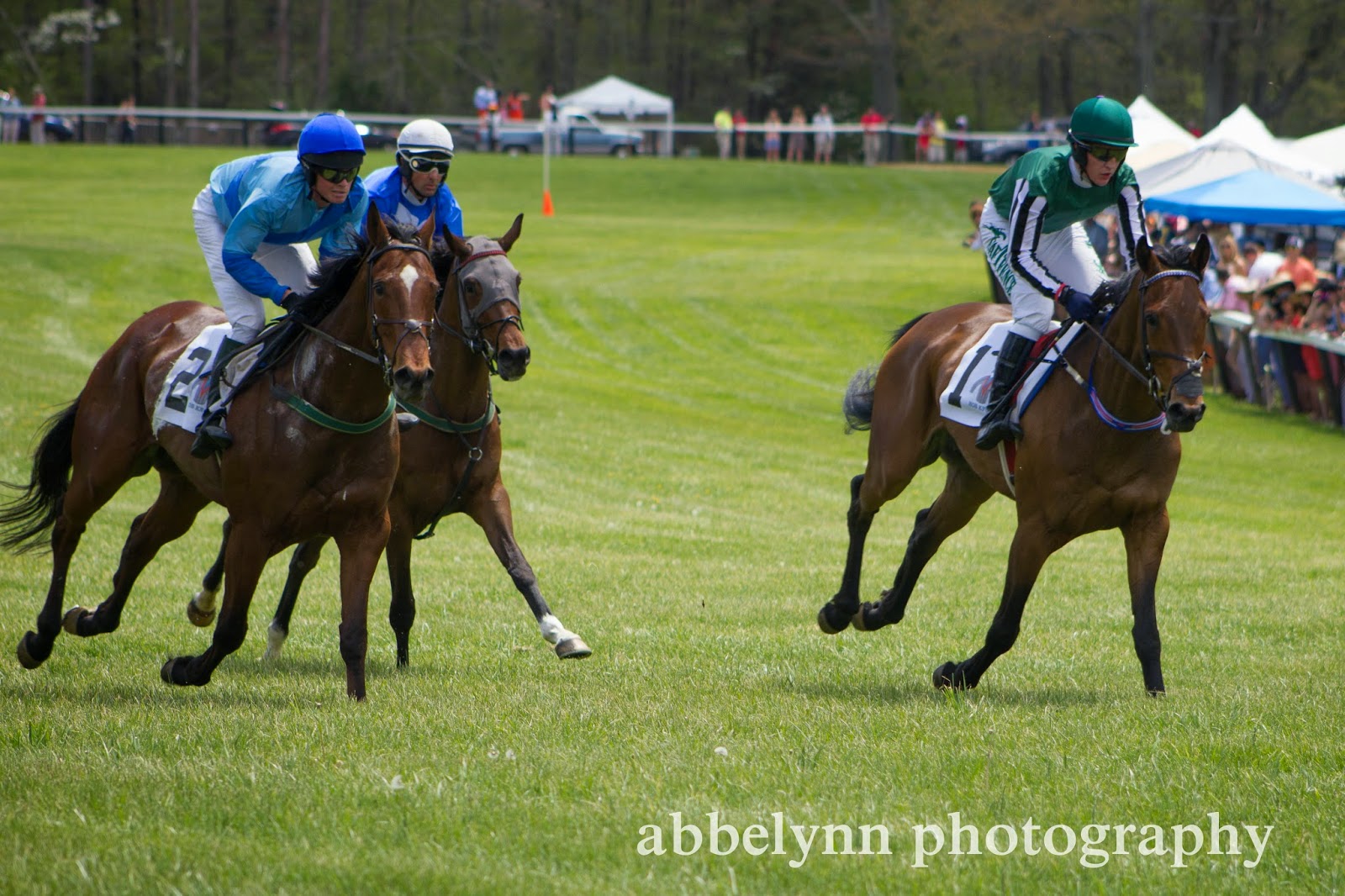 AbbeLynn Photography: Foxfield Races 2014