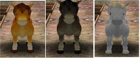 Cara Mendapatkan Kuda Sesuai Warna Yang Kita Inginkan di HM AWL - ID ...