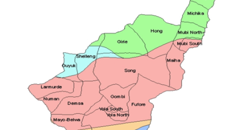 FOCUS ON ADAMAWA STATE CULTURE AND TOURISM