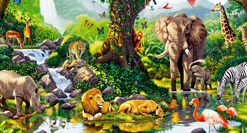 BIODIVERSIDAD EN MÉXICO : ¿Qué es la biodiversidad?