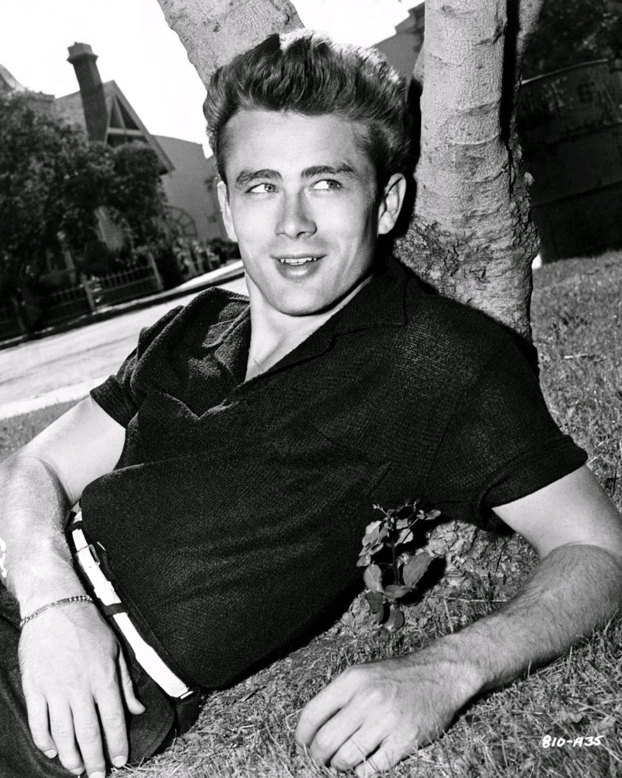 15 frases de James Dean y 15 fotos geniales | ENTRE EL CAOS Y EL ORDEN ...