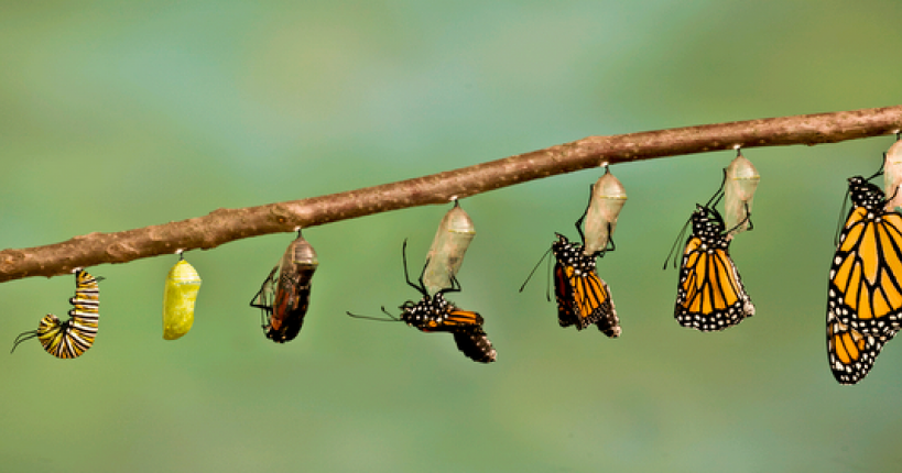 my jurney: pengertian agama samawi agama ardhi dan jenis jenisnya