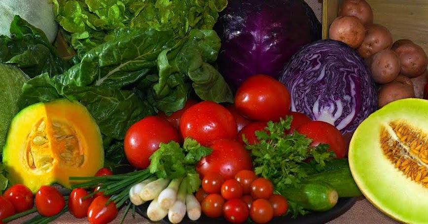 Sabores & Más : Los beneficios de las Hortalizas Organicas
