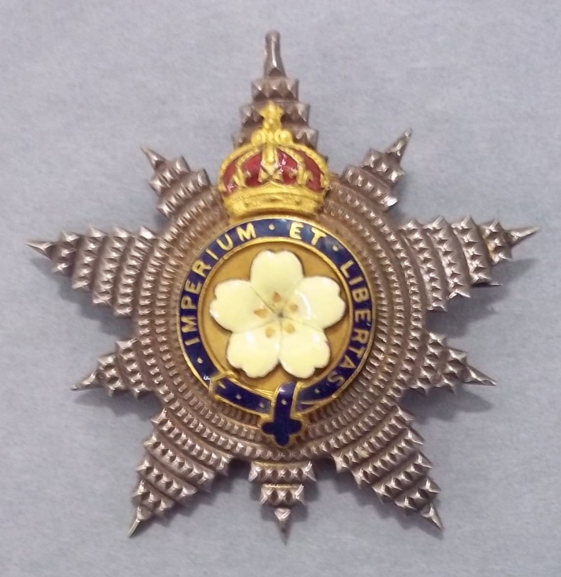 News from the stores: The Primrose League for Empire and Liberty!