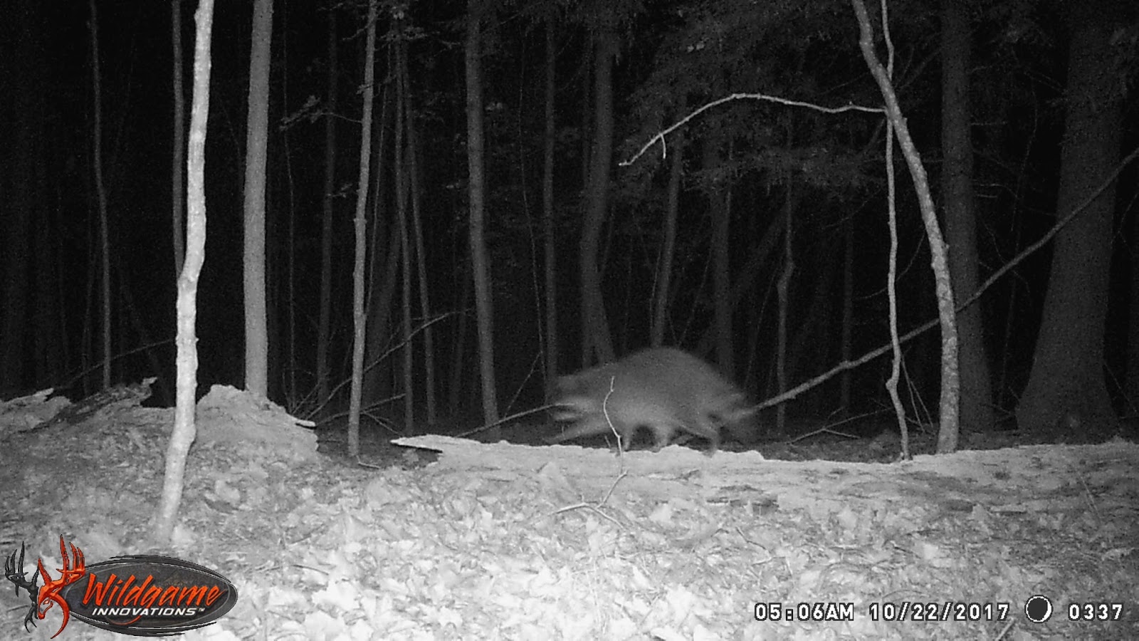 Isabella Conservation District Environmental Education Program: 2017