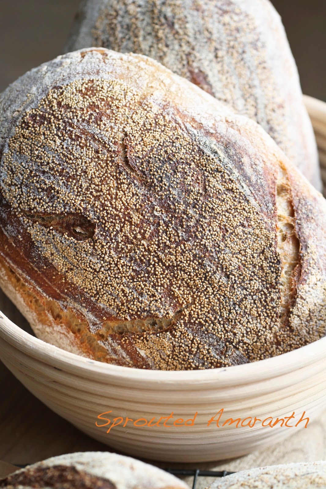 Tartine Sprouted Amaranth Bread - Ever Open Sauce