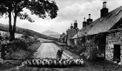 Tour Scotland: Old Travel Photograph Shepherd Balnaguard Perthshire ...