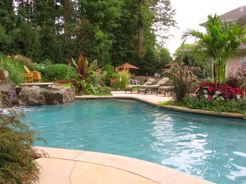 My Landscape Ideas - Boost: pool landscape designs