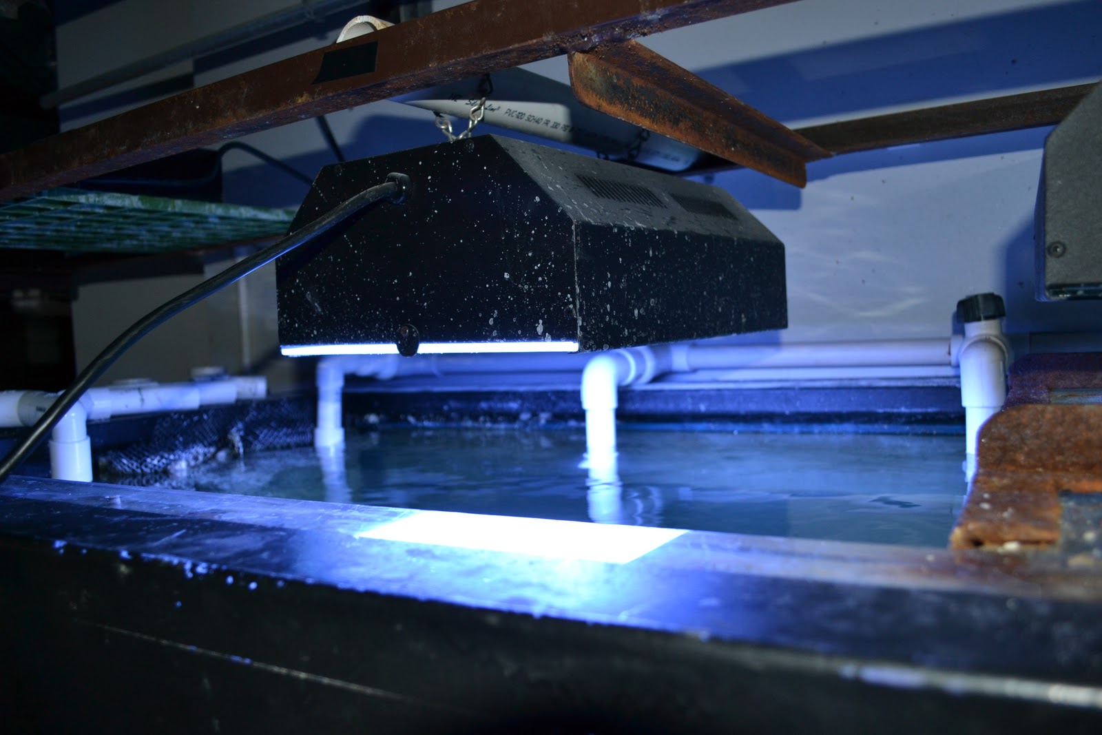 Virginia Living Museum | Reef tank modifications | Virginia Living Museum