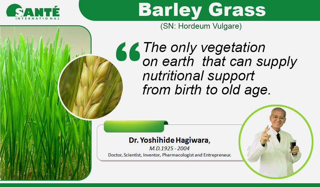 Santé Pure Barley New Zealand