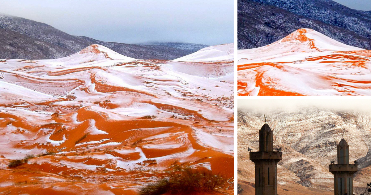 Breath-Taking Pictures Of Snow In Sahara For The First Time In 37 Years ...
