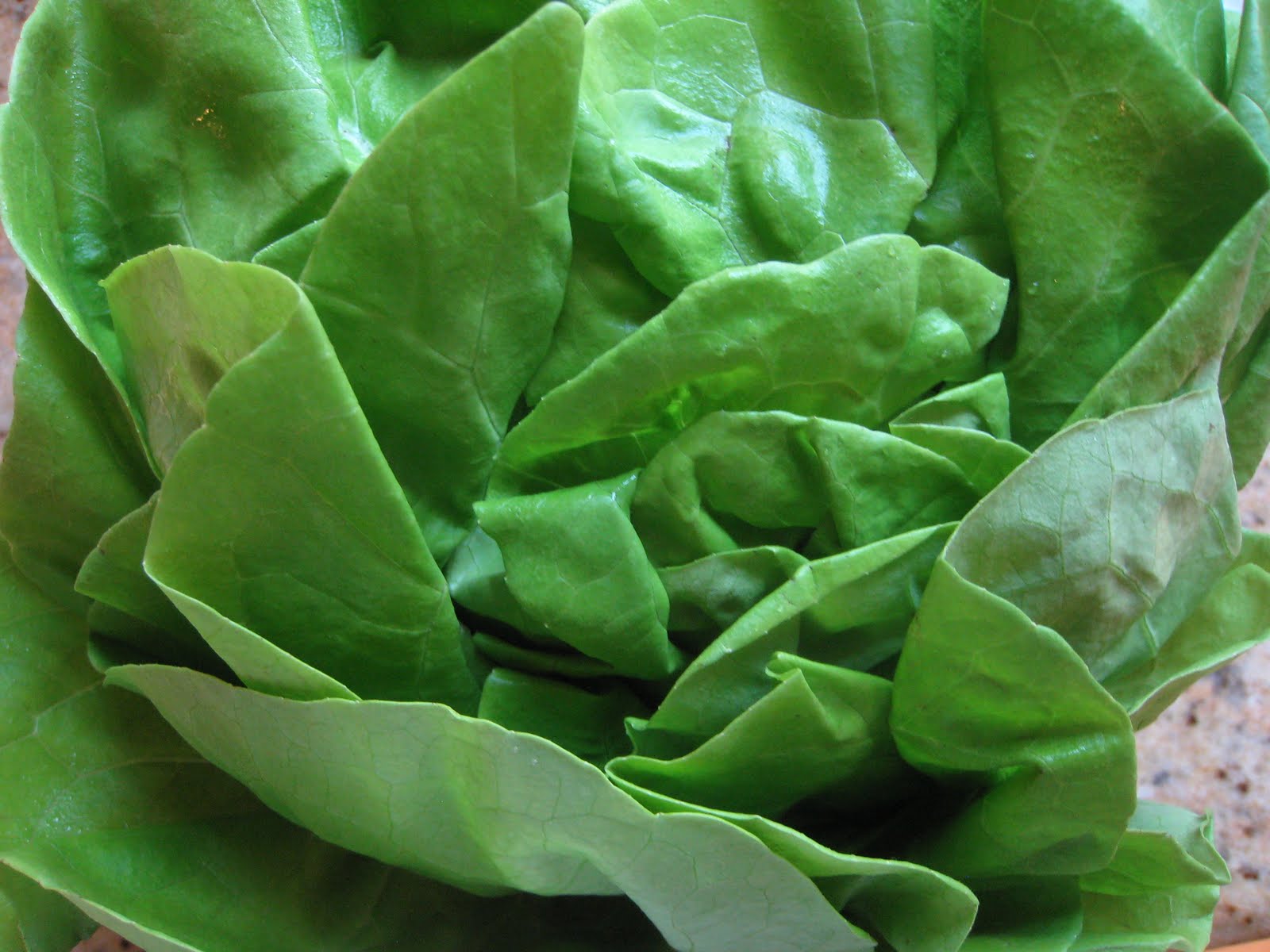 The Garlic Press: Thai Basil Tofu Lettuce Wraps
