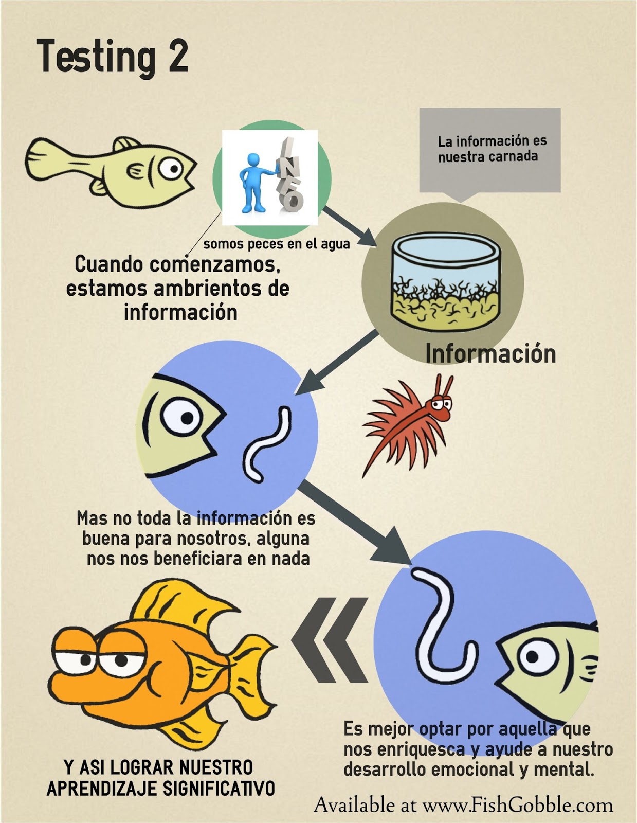Habilidades docentes: 2. Recopilación y procesamiento de la información.