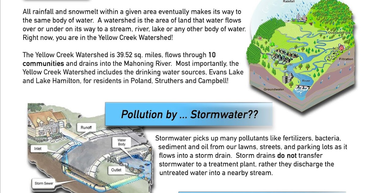 Alliance for Watershed Action and Resource Education: Storm Water and YOU