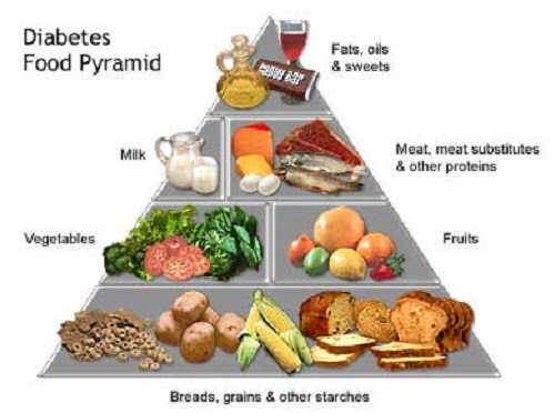 A Diet for Diabetics Is Easy to Follow ~ Healthy Life For All