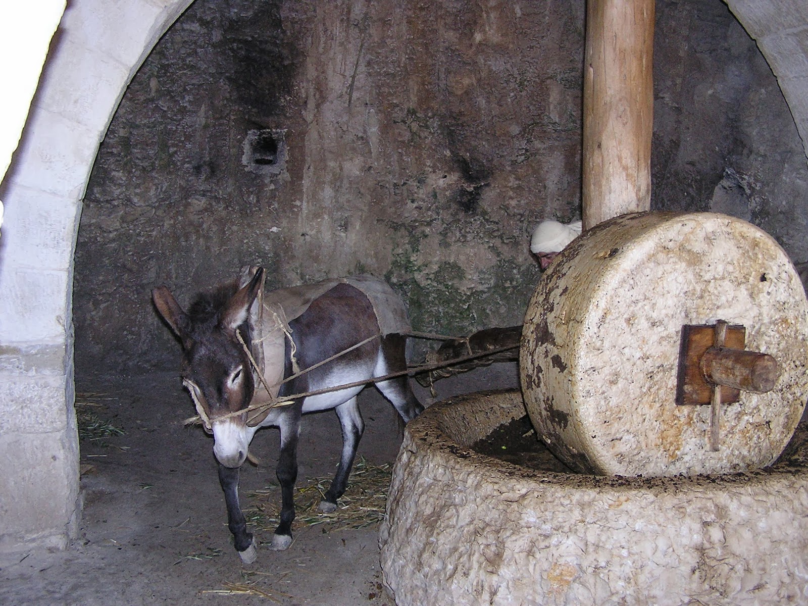 E-nklings: Sermon for Pentecost 20: "It's All about Forgiveness"