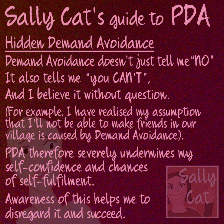 Sally Cat PDA: Memes About Demand Avoidance