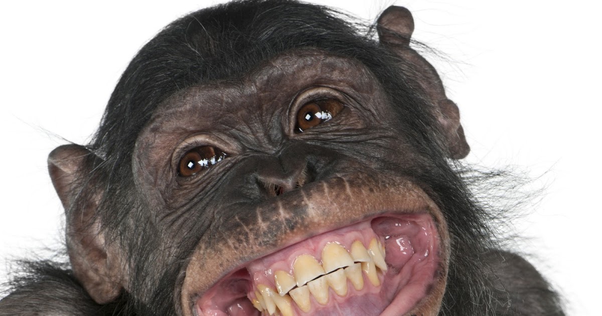 RIDEREMENTE: RIDERE-MENTE