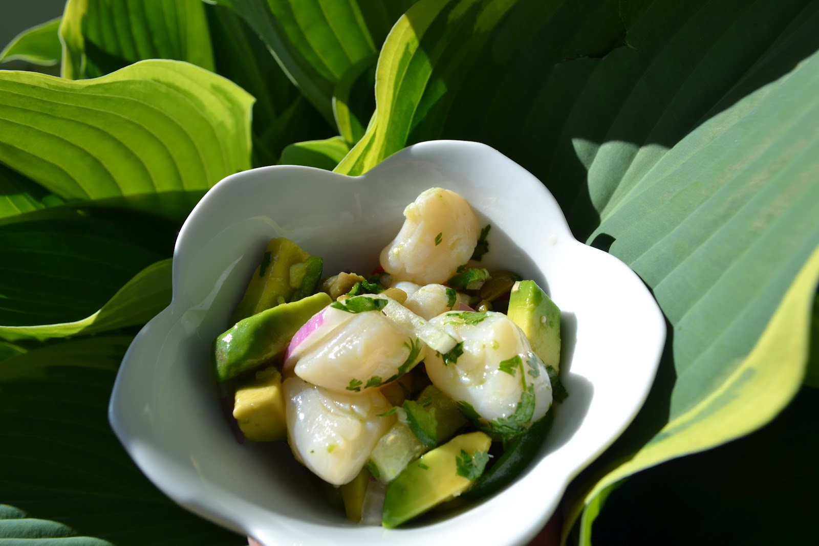 A Verdant Delish: Ceviche Verde & Spring in Maine - Aesthetic Dalliances